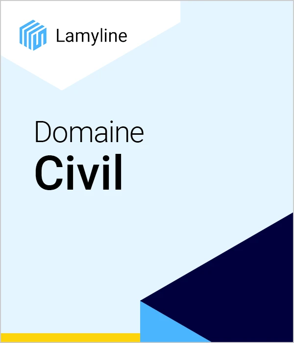 Tout le droit civil dans Lamyline