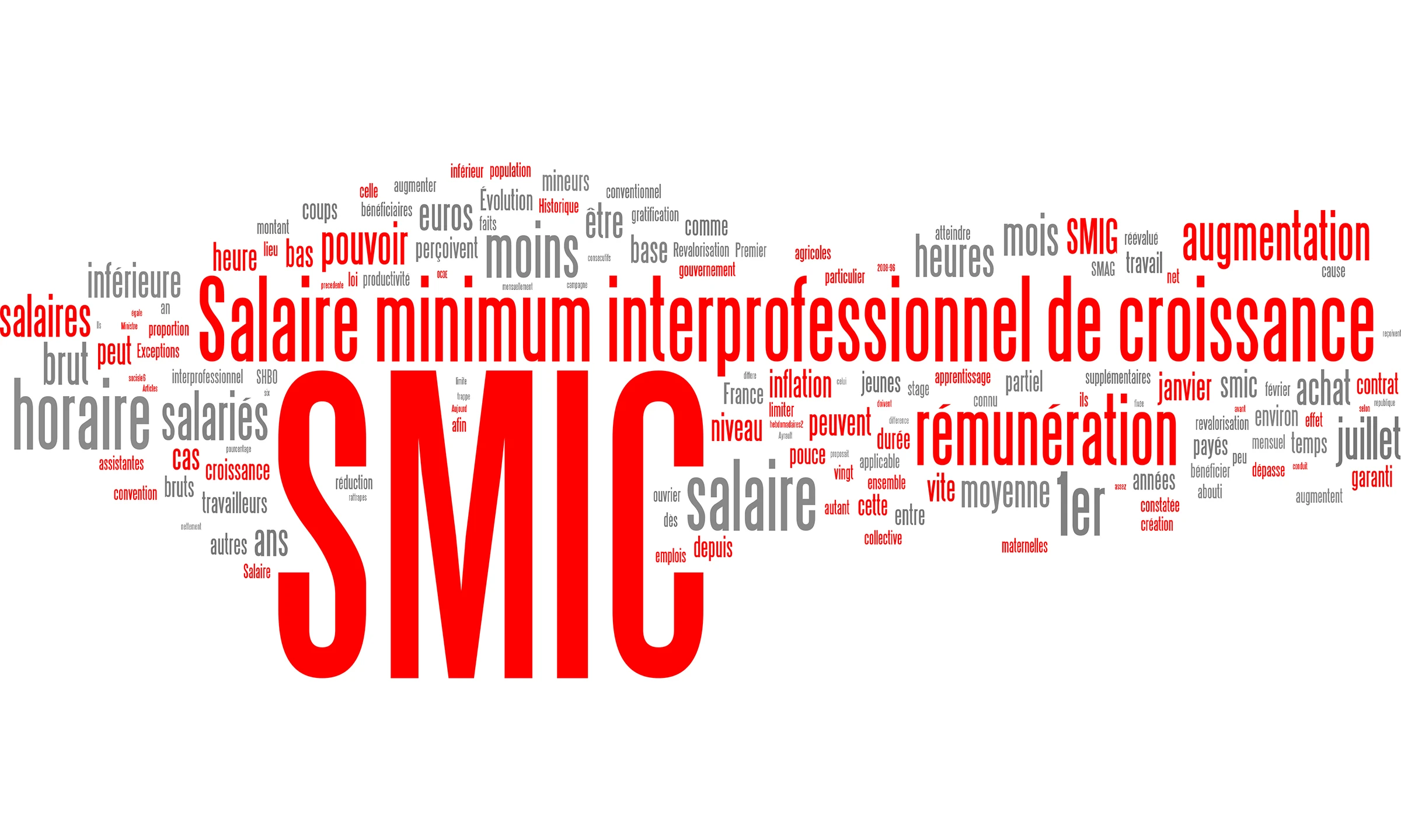 Montant du Smic 2024 : Salaire Minimum et Conséquences de sa Revalorisation